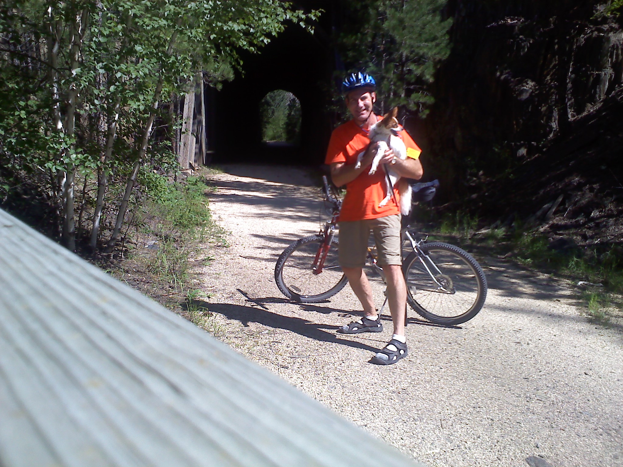 About Tom – Dr Tom Ries LLC